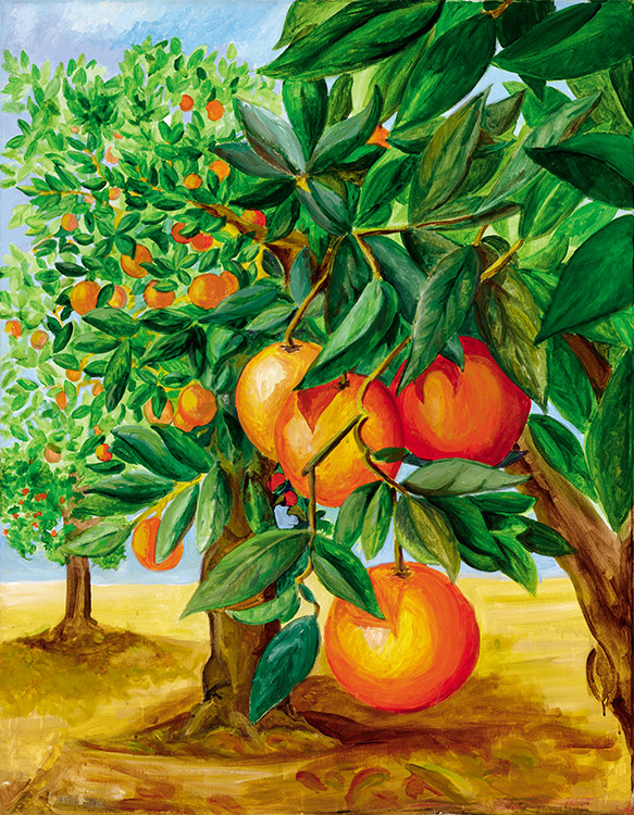 Oranges for Melissa ©2000, Eric M. Davis